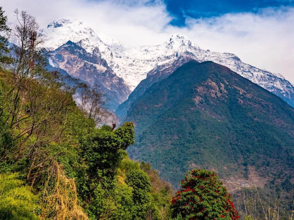 Annapurna Base camp trekking|Updated Cost 2025 & 2026|Itinerary|