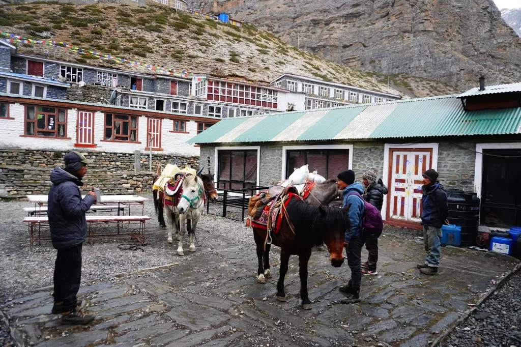 Annapurna Circuit Trek with Tilicho Lake| 11 Days